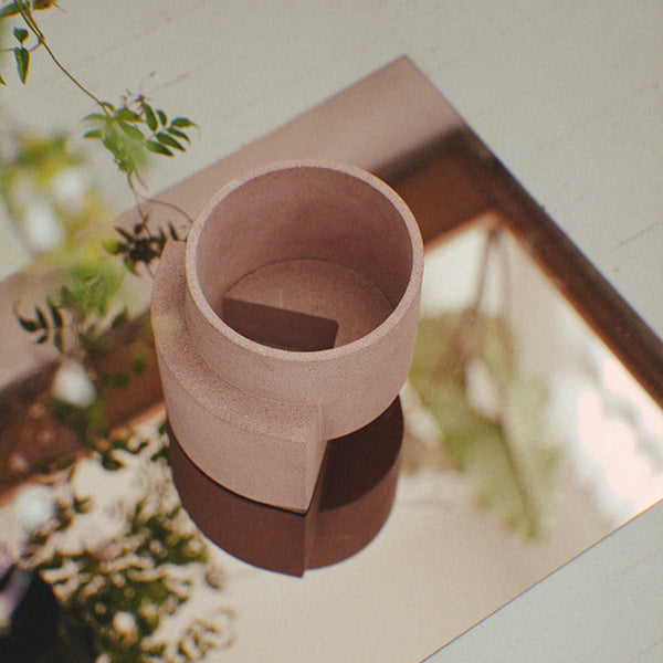 Plant Care for the Changing Season – Tortuga Forma